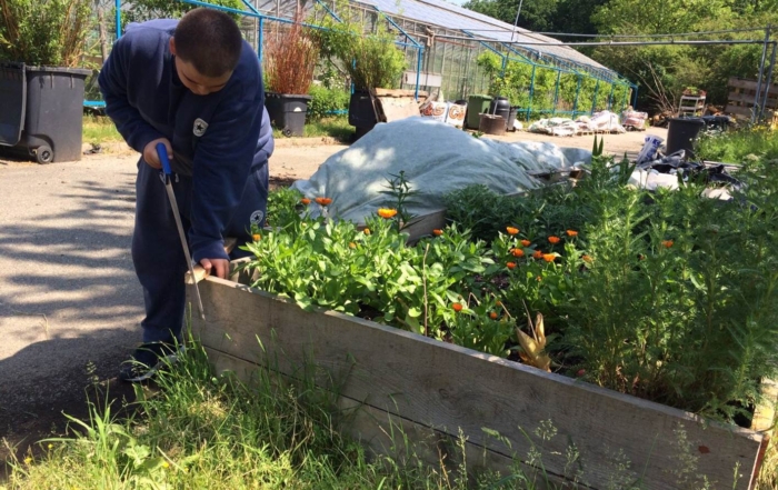 The William Wates Memorial Trust - William Wates Memorial Trust